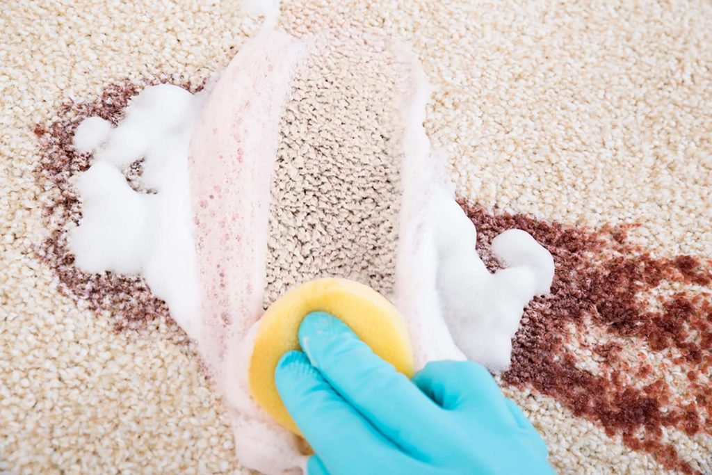The Most Effective Stain Removal Solutions | EarlyExperts